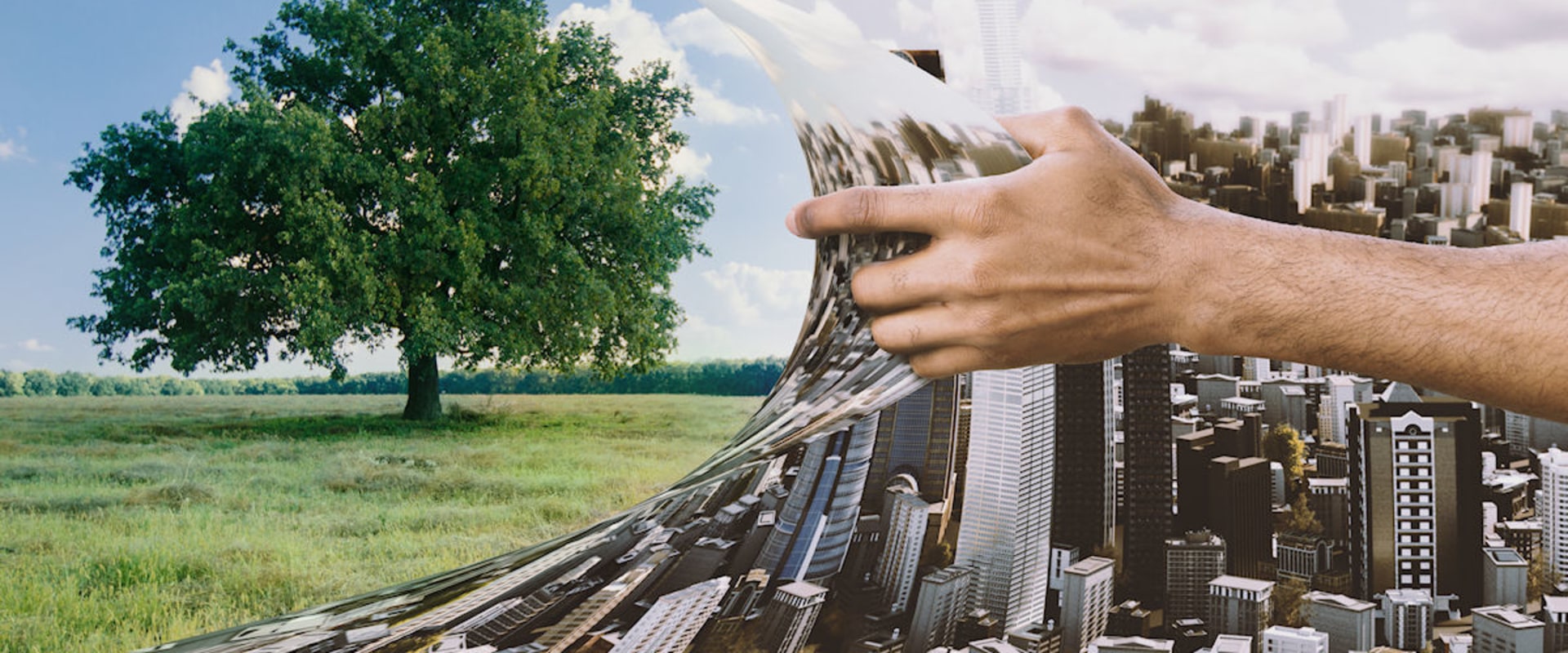 Urbanization and Its Impact on Northern Virginia's Culture